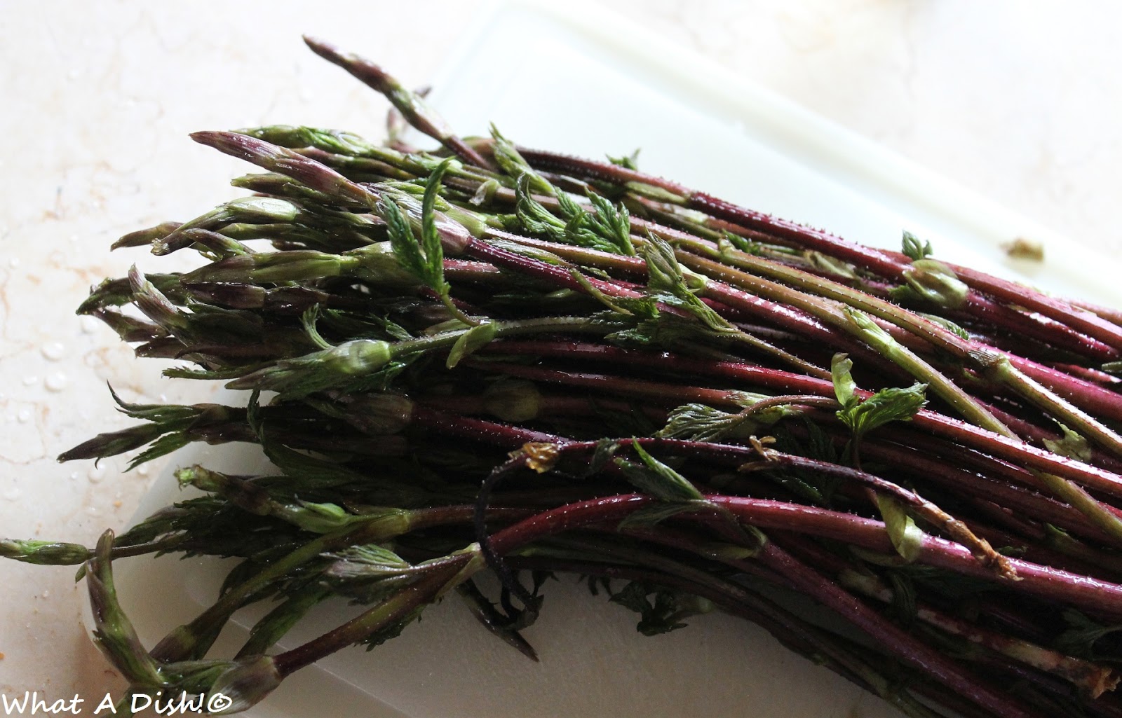 What A Dish!: Risotto di Bruscandoli