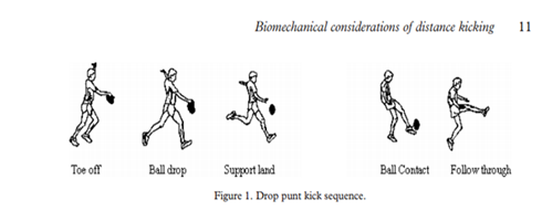 What are the optimal biomechanics for a drop punt in AFL?