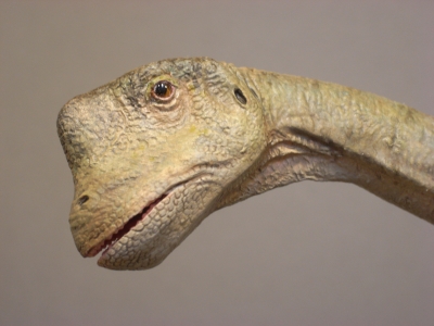 Hirokazu Tokugawa's Paleo Sculpture: Europasaurus holgeri (2011)