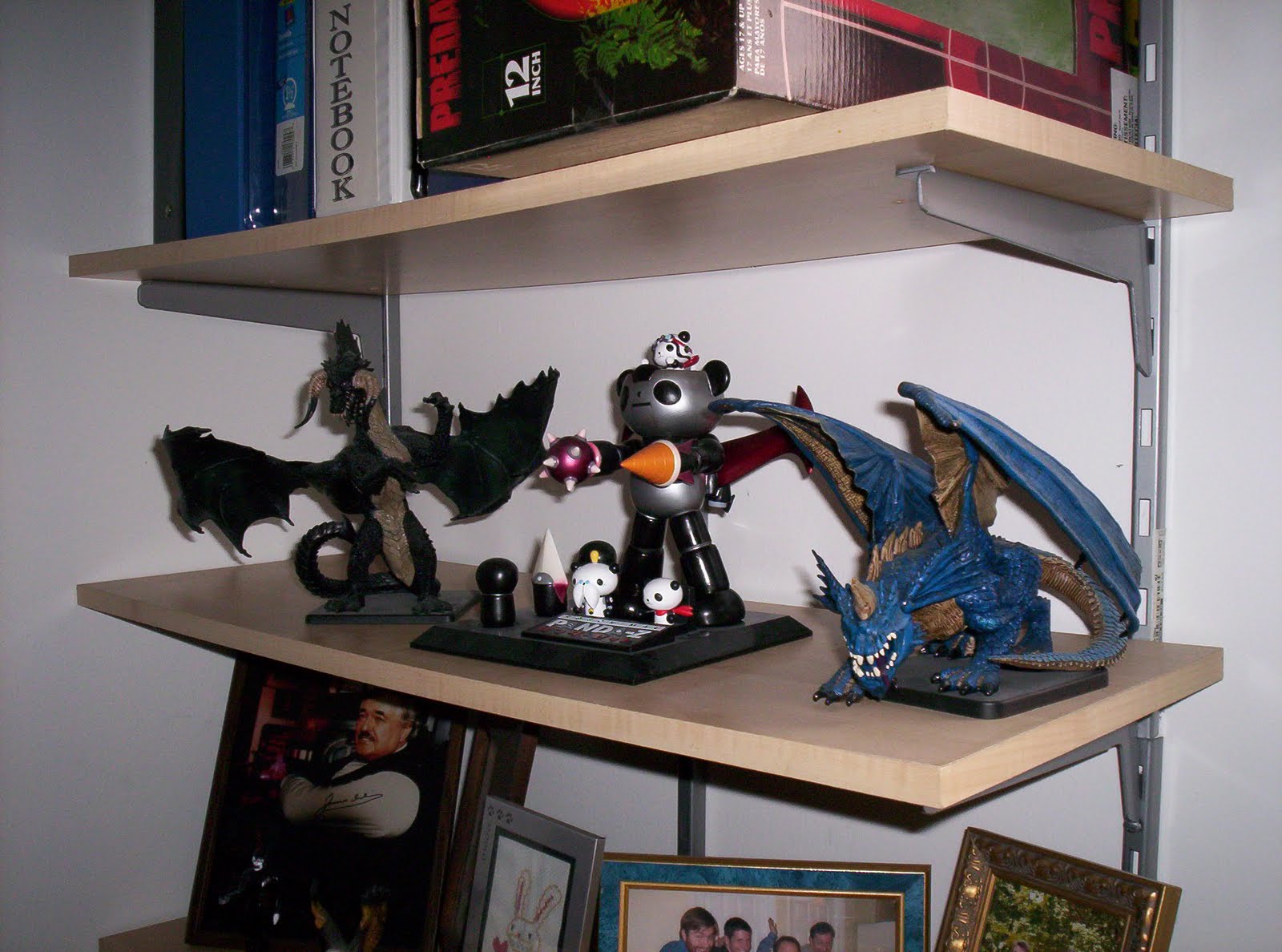 Exfanding Your Horizons: The Amateur's Guide to Displaying Collectibles