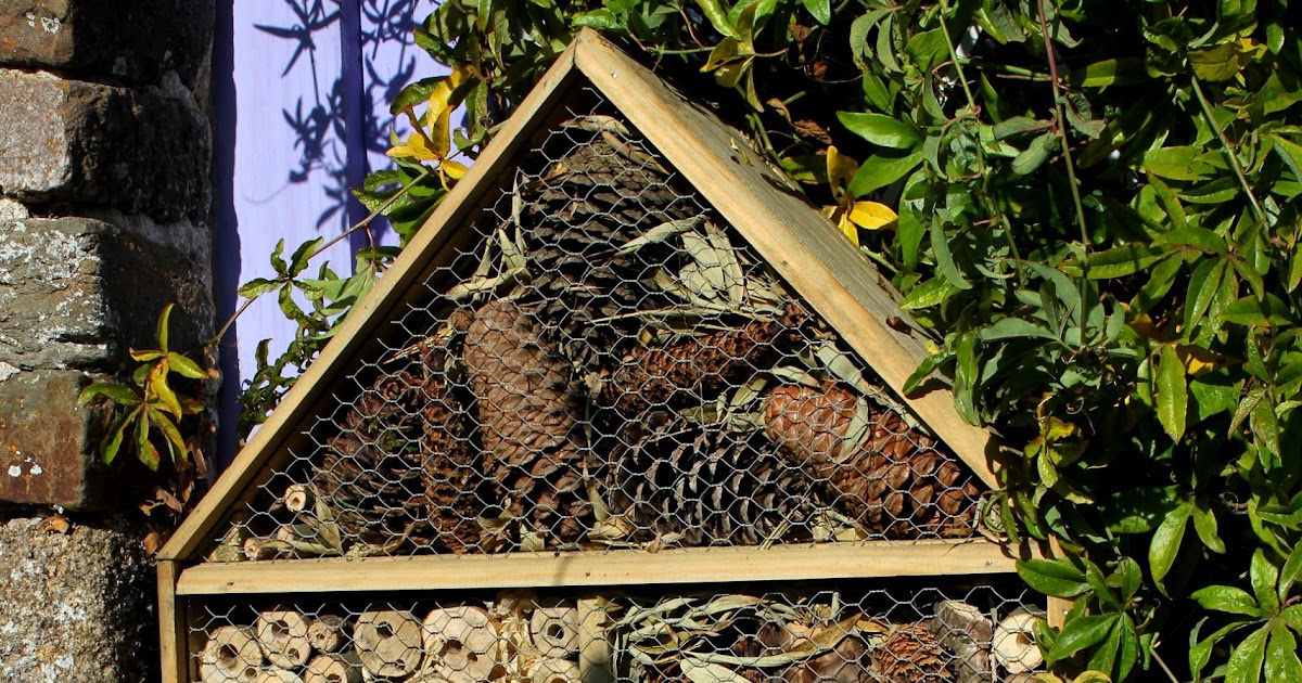 Home-made Repurposed Wood, Luxury Insect Hotel or Five Star Bug House ...