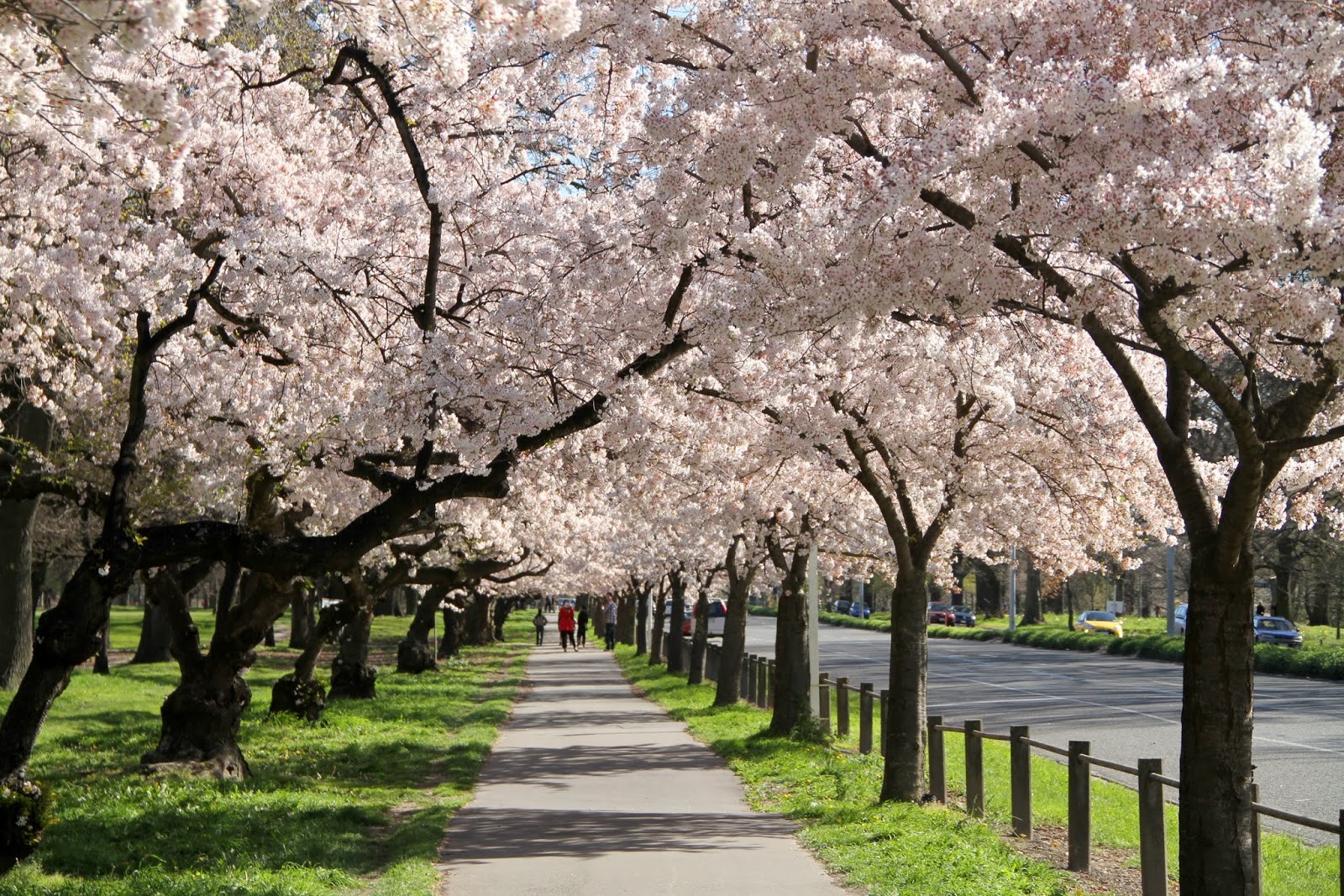 Aligorith's Lair: Spring has Sprung