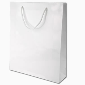 Buat Paper Bag Putih Polos - tas kertas deain sendiri