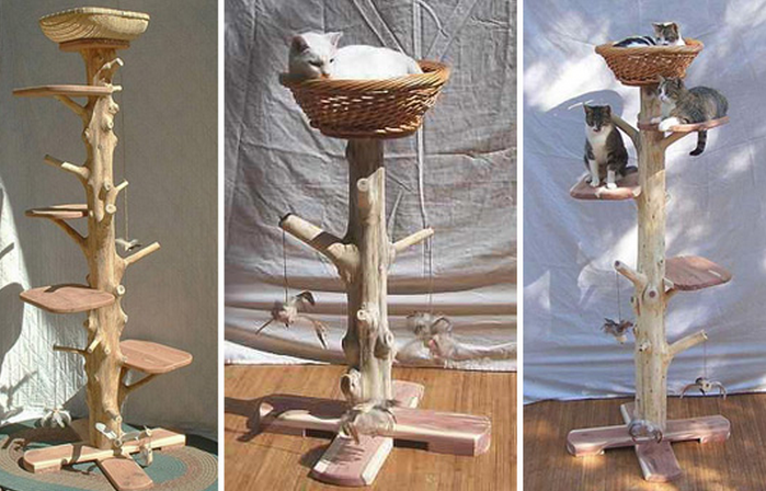 Sunshine Kitties: how fostering pets on death row saved my life.: More ...