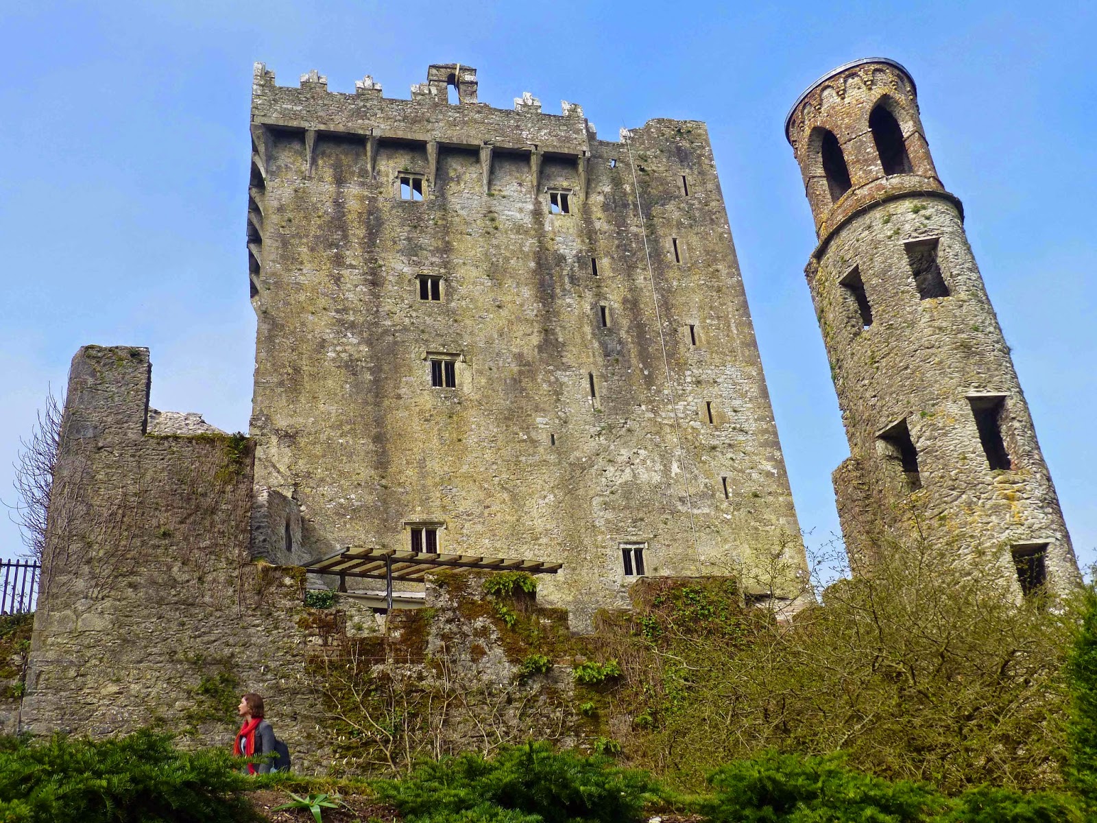 Blarney Castle Grounds. First Tuesday of 2021.