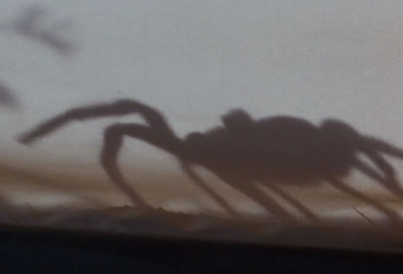 Arachnophobia (1990) - A Review