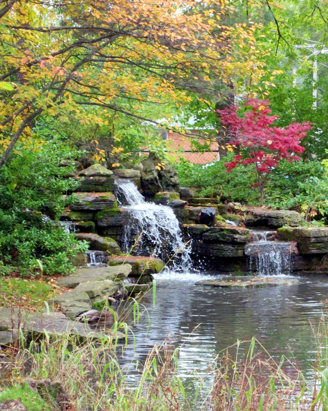 Seth Saith: Saturated Nature - A Photo Gallery