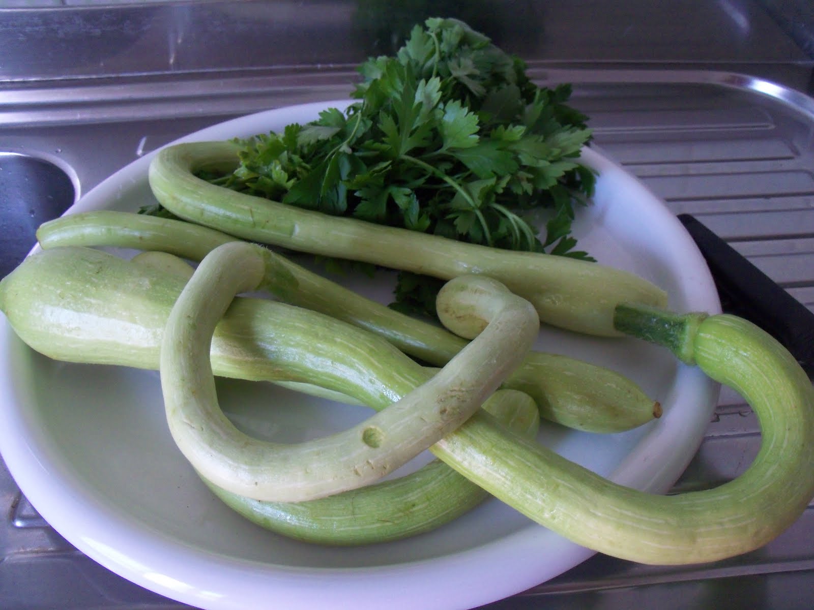 Ai Sapori: Zucchine "trombetta" di Albenga