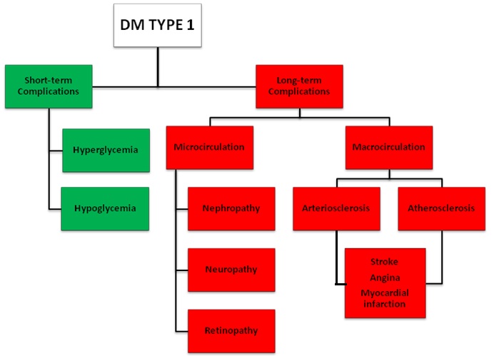 DIABETES MELLITUS TYPE 1