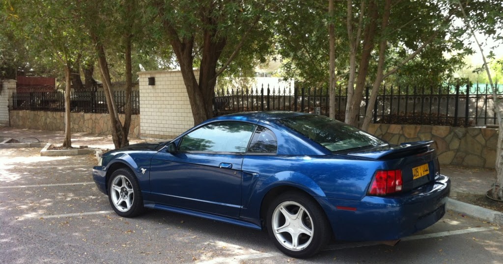 Axel the Mustang - [MM] Muscat Mutterings