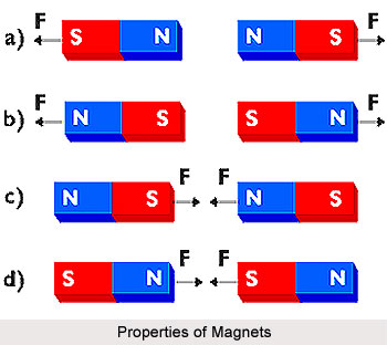 FUN'S-CIENCE GARDEN: MAGNETS
