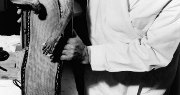 San Antonio Uncovered: Sam, the Space Monkey - From Outer Space to the ...