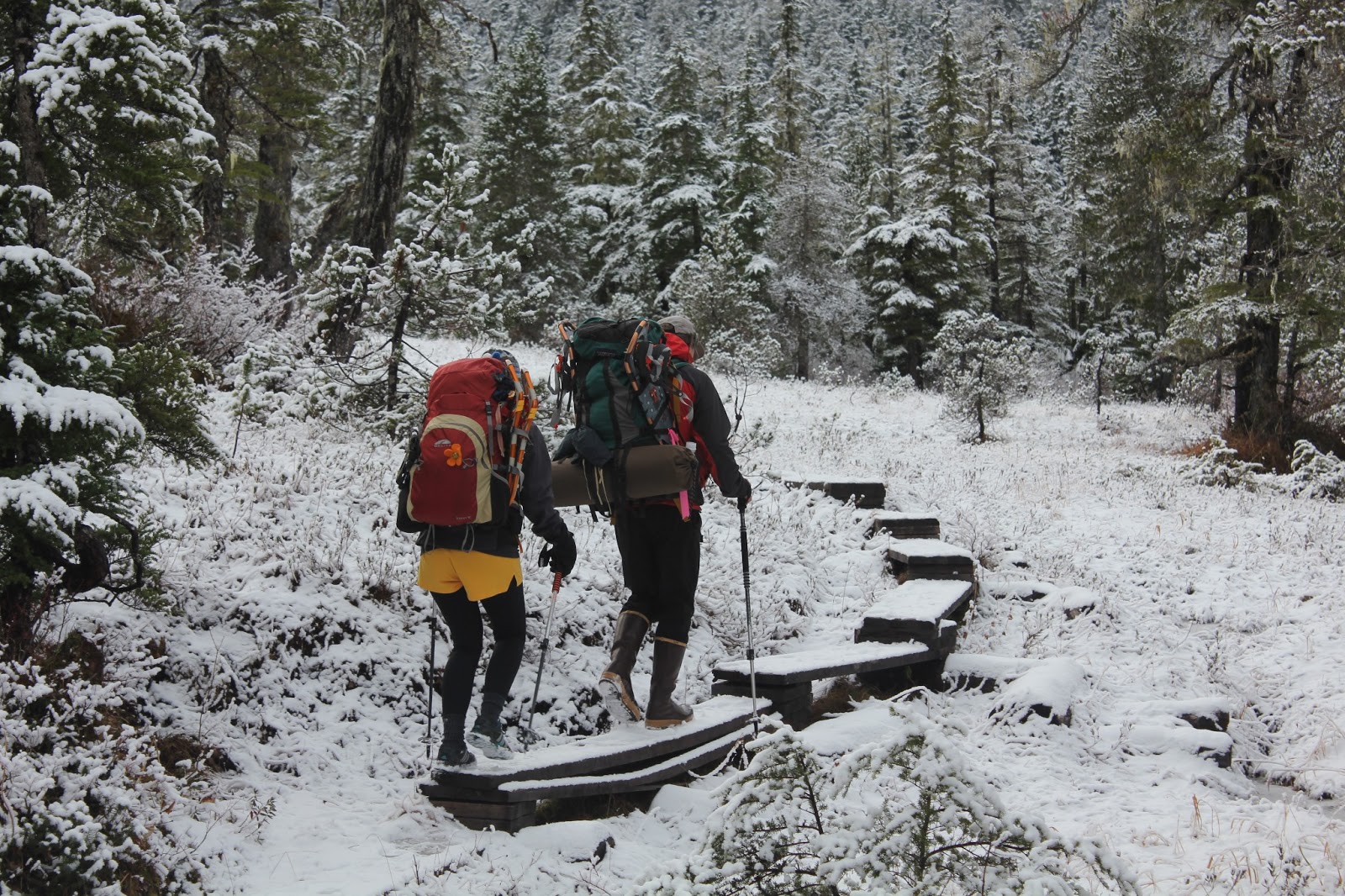 An Epic Avalonian Adventure: Juneau, Alaska - Part 1 (Dan Moller Cabin)