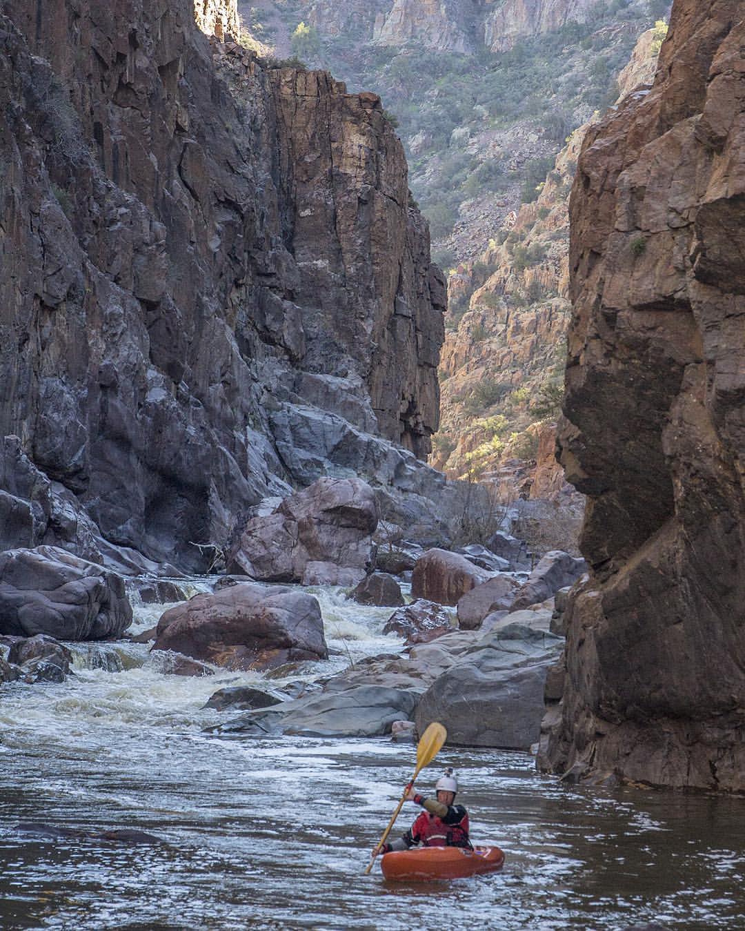 Where Is Baer ? : Class Tree in Arizona, Christopher Creek and Hell’s Gate