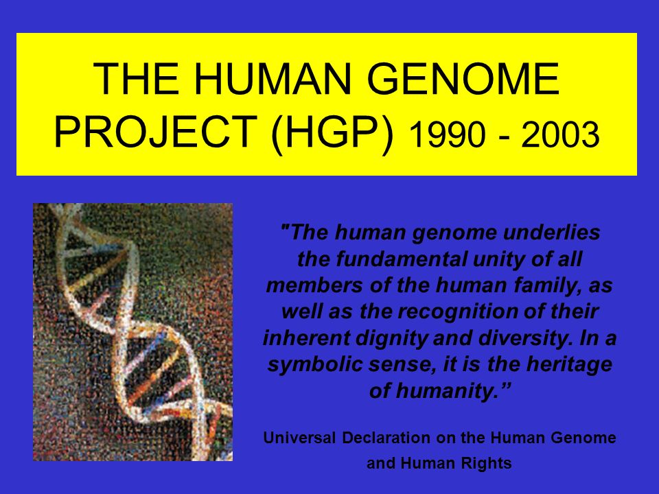 EXAMS AND ME : Human Genome Project