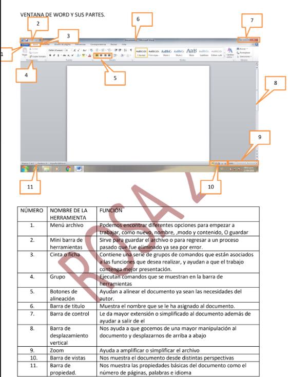 VENTANA DE WORD Y SUS PARTES.