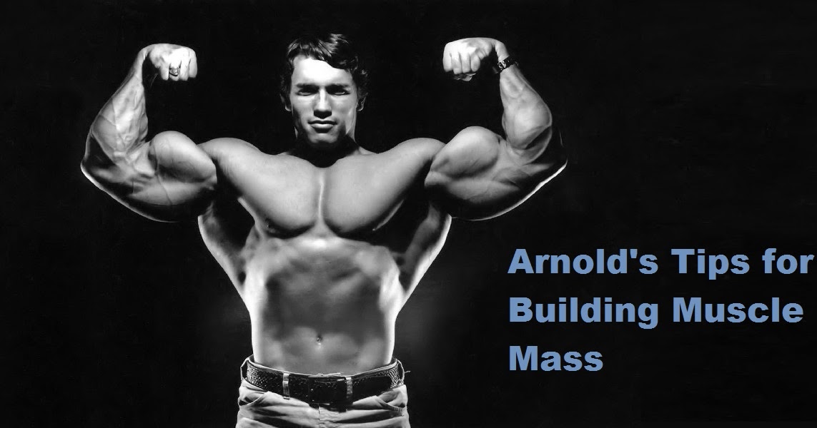 Muscle Palace: Arnold Schwarzenegger's Bodybuilding Tips to Gain Muscle ...