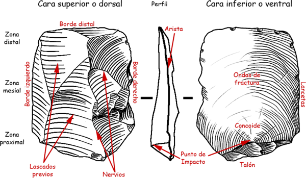 LIBROS - Librerías San Francisco: Diccionario CXVIII: Lasca