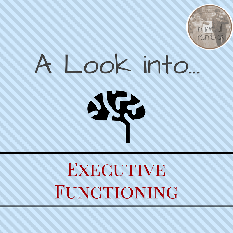 Executive Functioning: What is It?