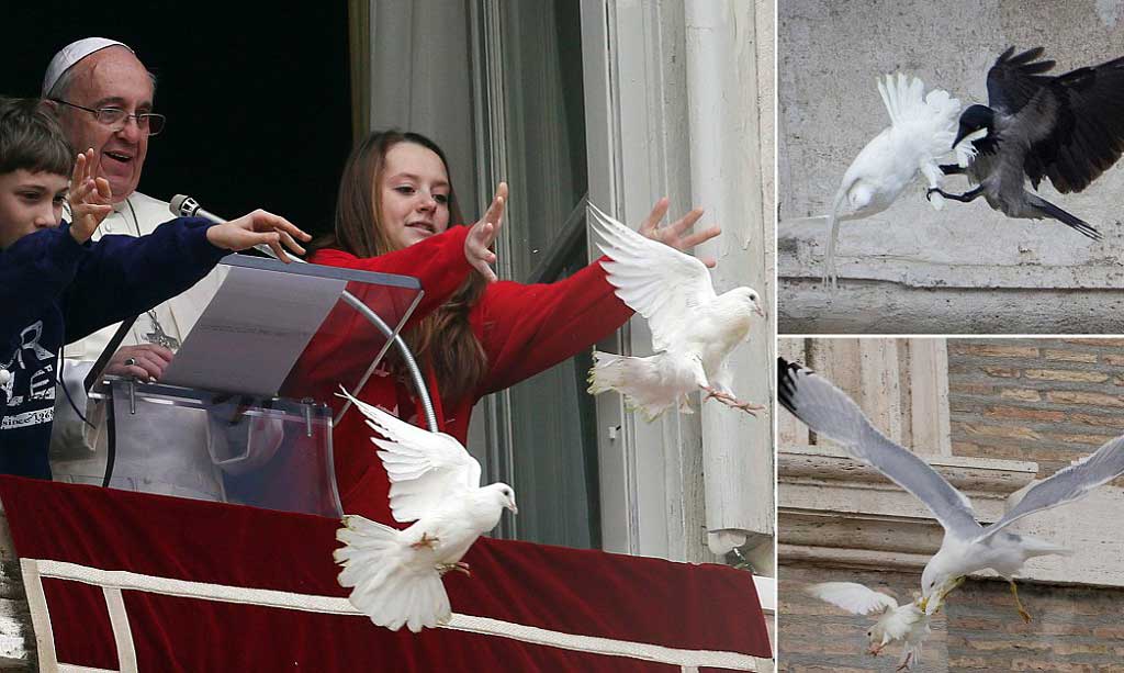 Nothing To Do With Arbroath: Vatican hires a hawk to protect Pope's doves