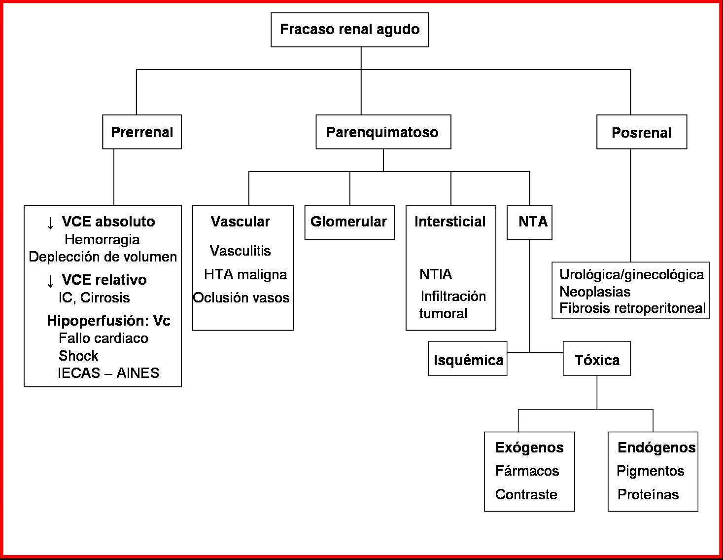 ENFERMEDAD RENAL AGUDA: Fisiopatología de Enfermedad Renal Aguda