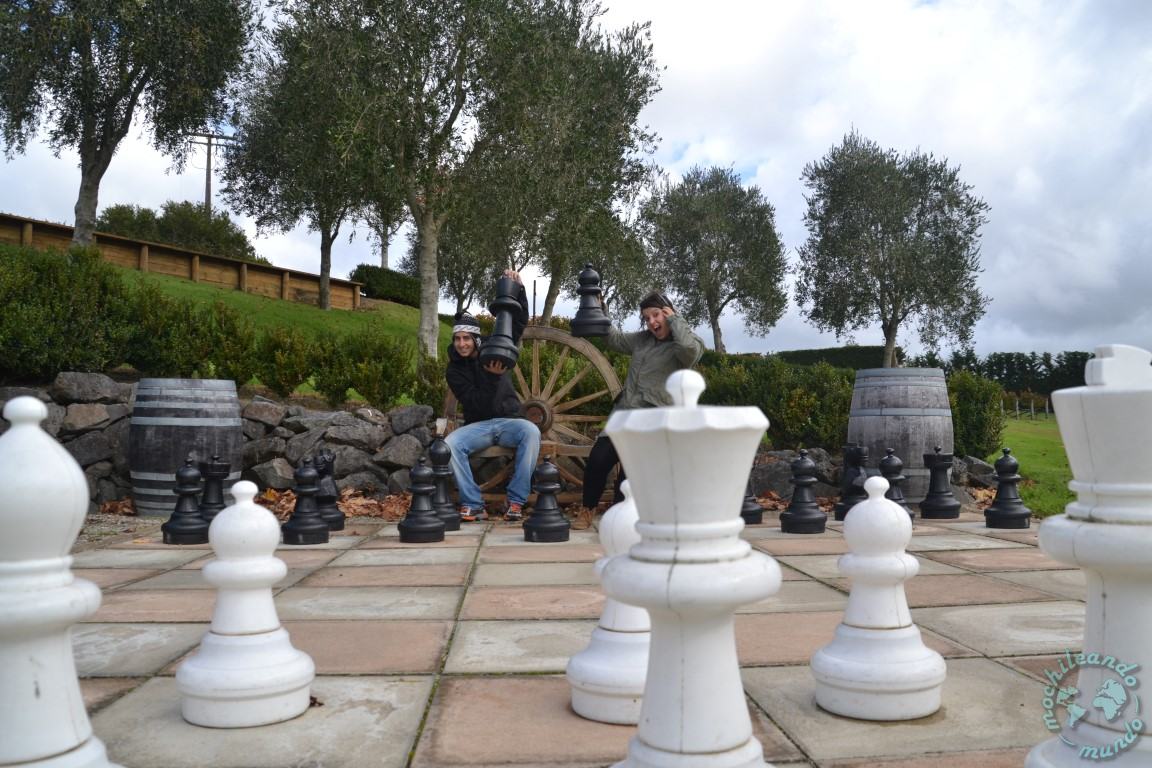 Ruta enológica en Nueva Zelanda: de bodega en bodega en Auckland