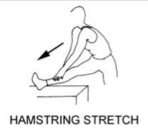 Male Health Tips: Hamstring Stretches and Muscles Pictures