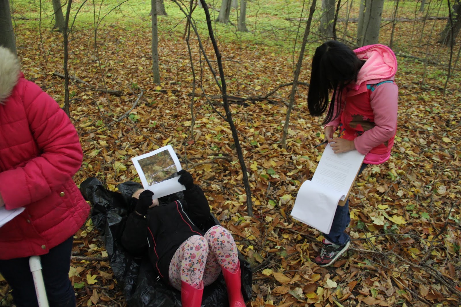 Isabella Conservation District Environmental Education Program: October ...
