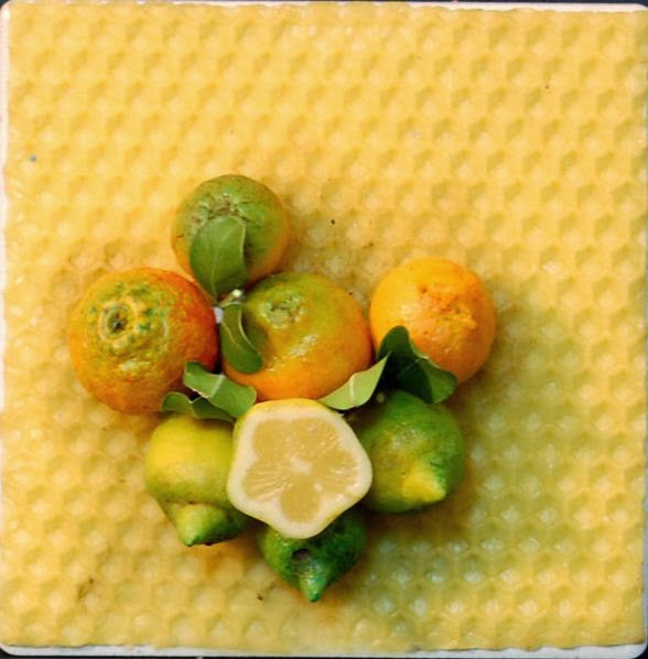 FOLLIE DI CERA - Miniature in Cera per Presepe Napoletano... e da ...