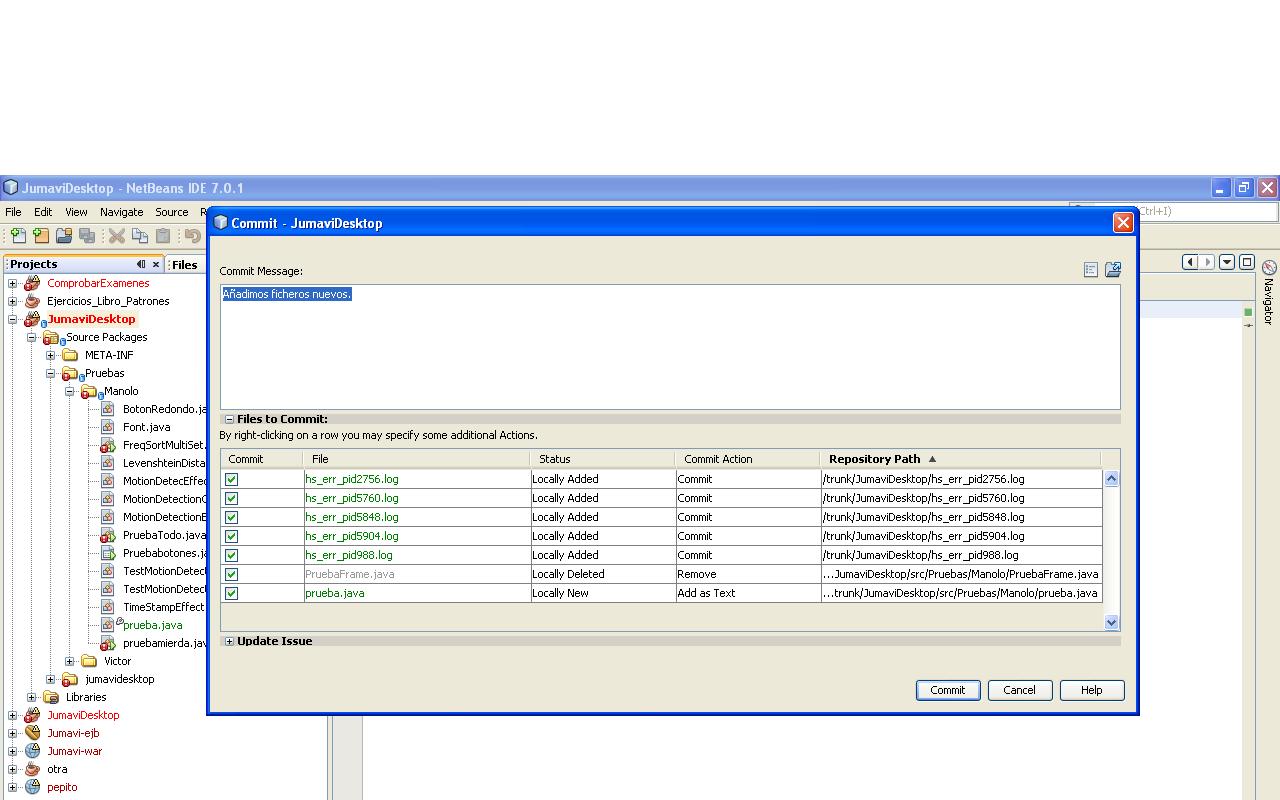 ExpertoJ2EE: Subversion bajo Netbeans.