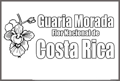 Flor Nacional de Costa Rica para colorear y pintar - COLOREA TUS DIBUJOS