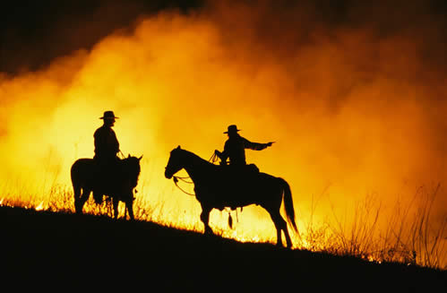 Shemmy Shemmy Shake Shake: Sunflower State of Mind - Artist Spotlight ...