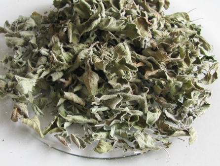 Dr. Dan's Garden Tips: Drying Your Own Herbs