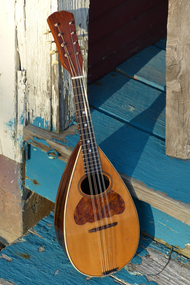 1910s Vega-made Warren Bowlback Mandolin