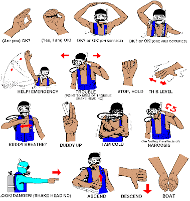 HAND SIGNALS AND UNDERWATER COMMUNICATION ~ AQUA DIVING CENTER GORONTALO