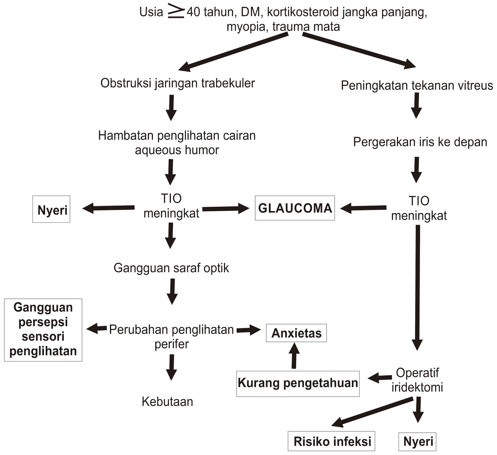 Asuhan Keperawatan (Askep) Glukoma / Glaukoma Terlengkap - Share Your ...