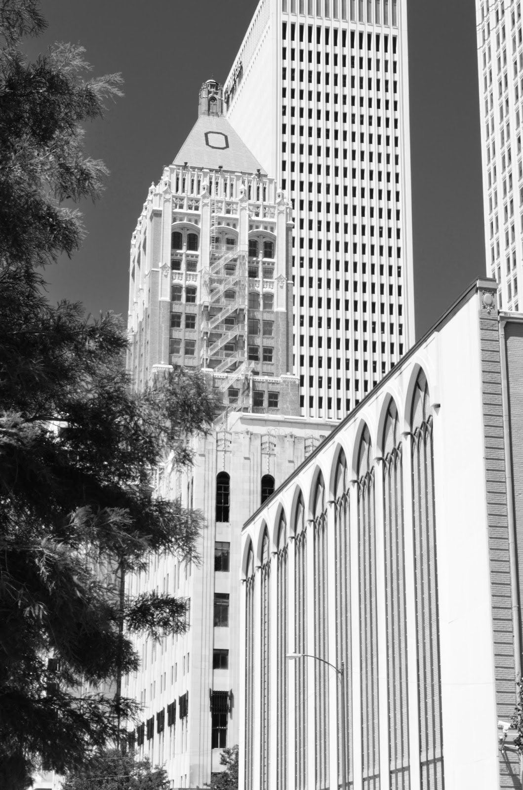 Pink&Charlie: Black & White Tulsa