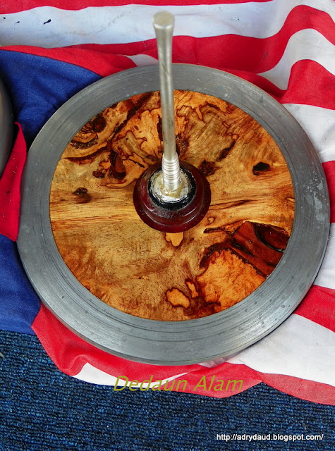 Dedaun Alam: Gasing Terbang