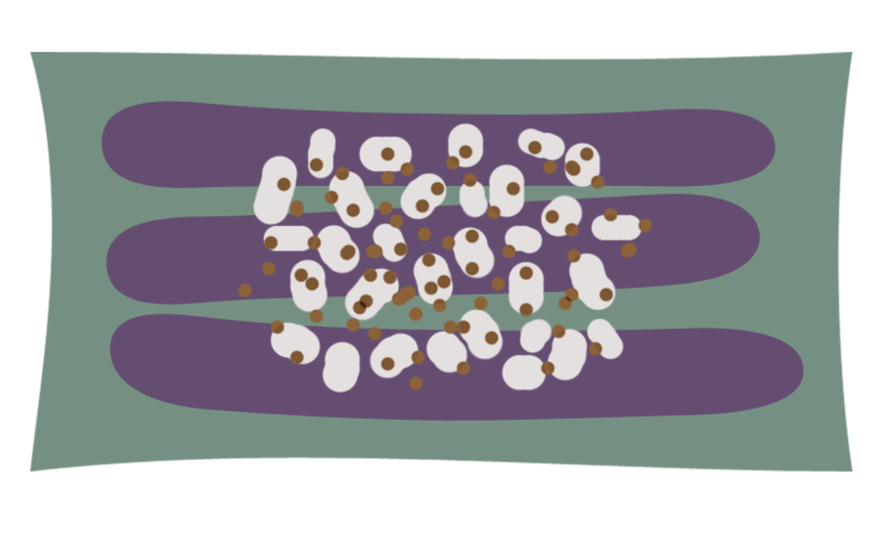 inspired creations.: pinoy food (STREETS)