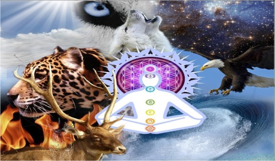 Sabersinfin.com.mx: Animales de poder: conociendo a tu protector espiritual