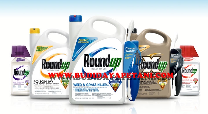 Pengertian Herbisida dan Jenis Jenis Herbisida - Cara Budidaya ...