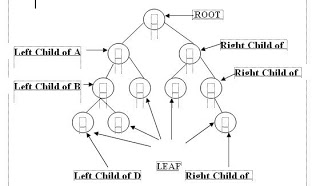 Struktur Data: Introduction to Tree, Binary Tree and Expression Tree (L ...