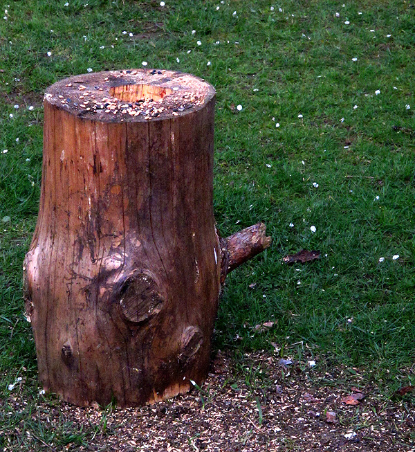 Life, but not as we know it!!: March 2012