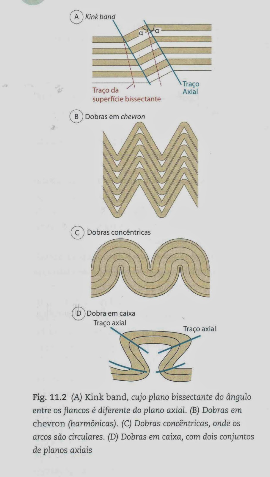 Quebra Pedras: DOBRAS E DOBRAMENTOS EM ROCHA