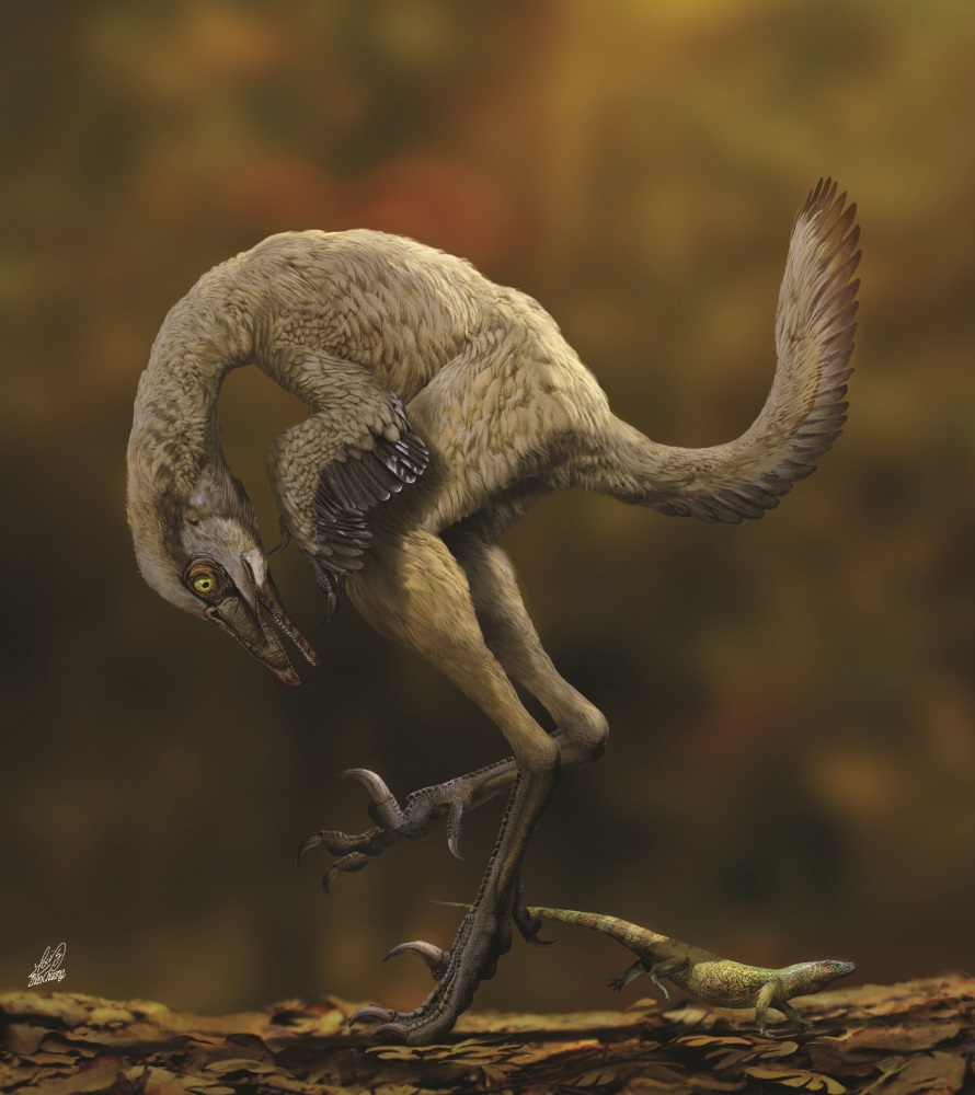 Species New to Science: [Paleontology • 2017] Liaoningvenator curriei ...