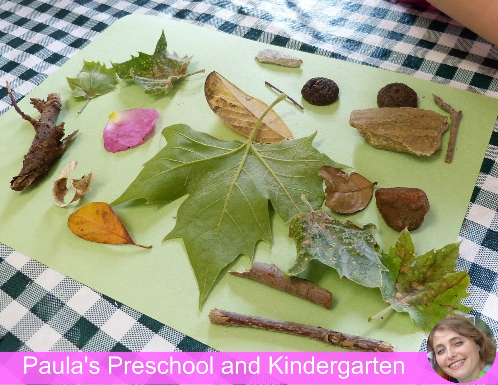 Paula's Primary Classroom: Celebrating Earth Day with Natural Materials ...
