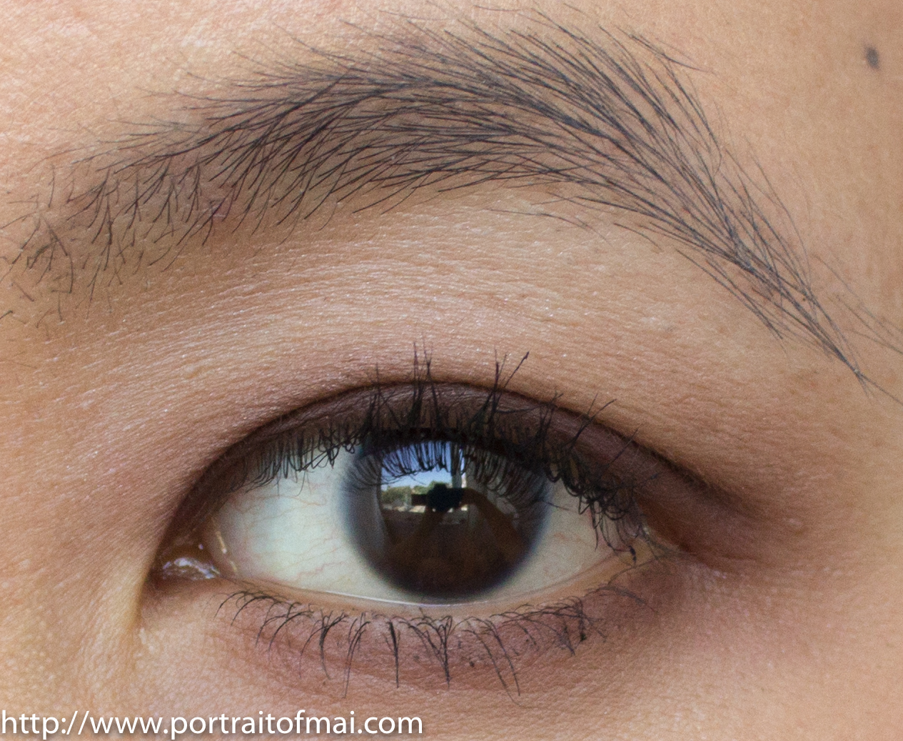 FOTD: Week in Review/to Come Vol. 1 - Warm Brown Smokey Eye and Red ...