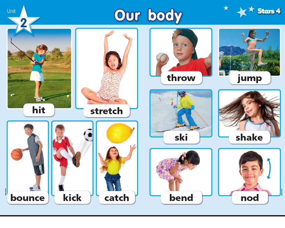 English with Rocky and Stars: The body- 4th grade