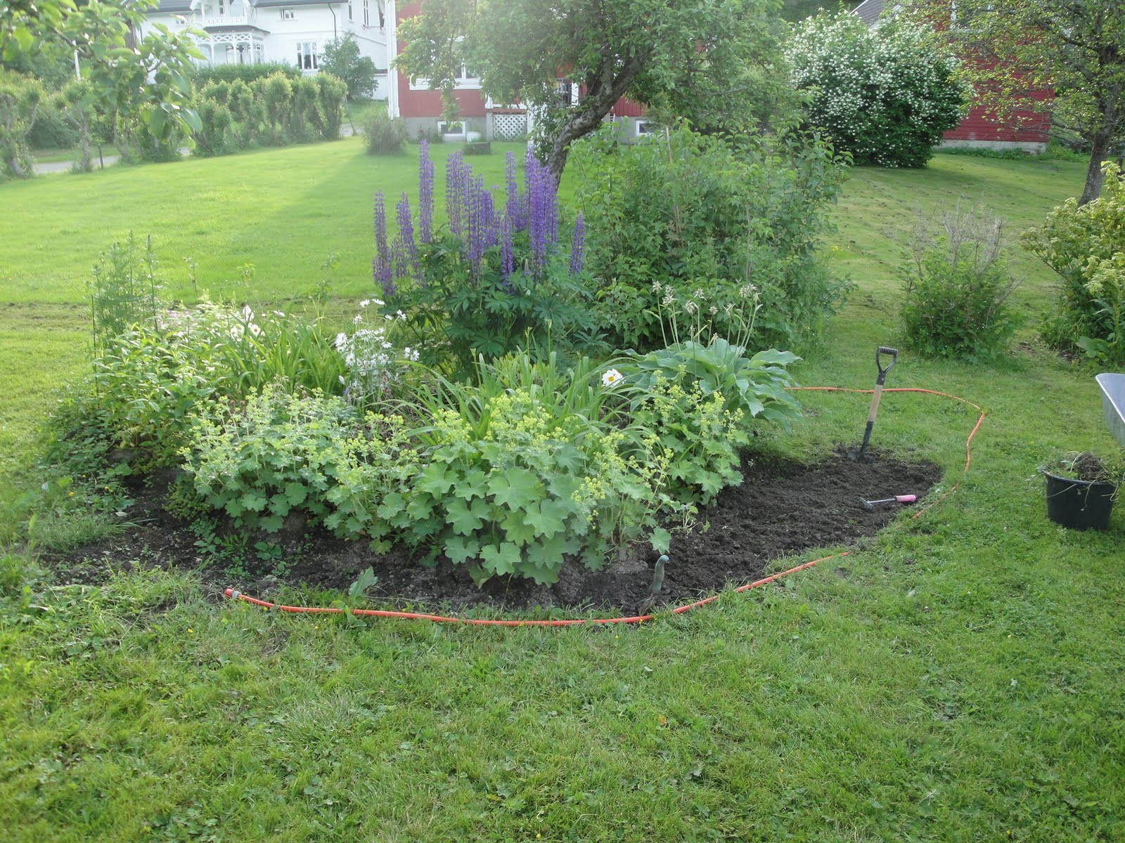 Underberget: Prosjekt blomsterbed