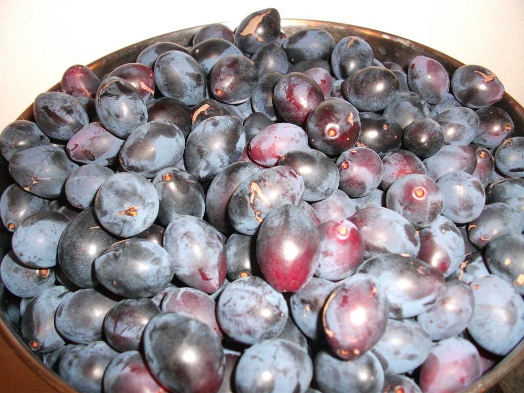 Damsons